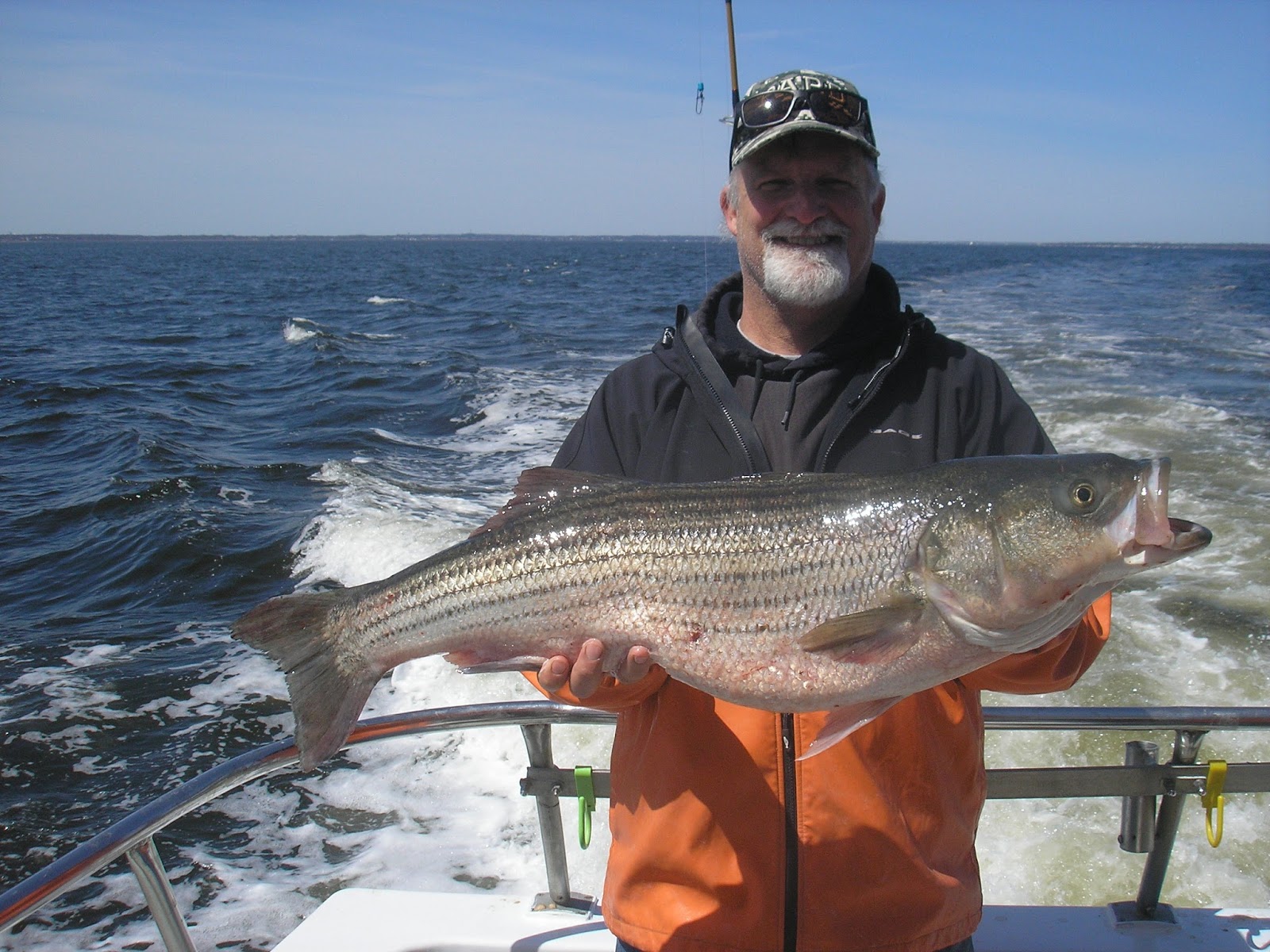 SEA TIGER II Fishing Report: Pics from Sat 4/21