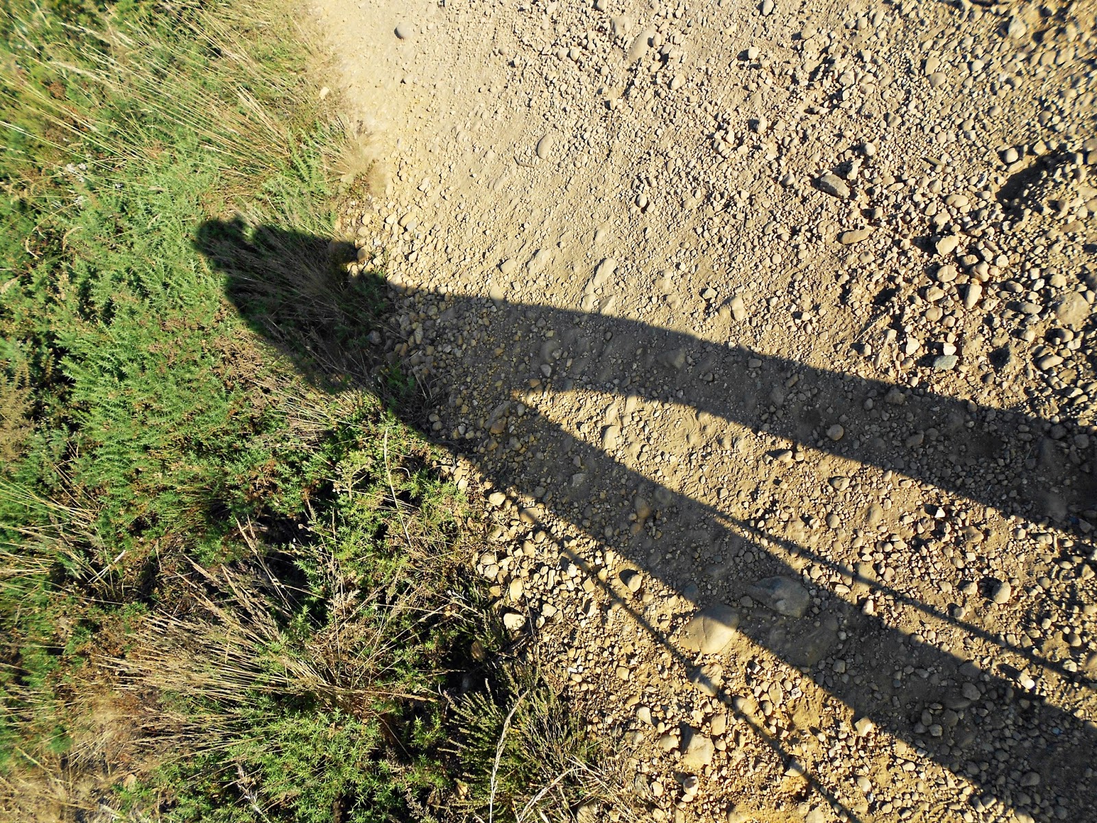 CAMINO DE SANTIAGO: GONZAR-AIREXE. (CAMINO FRANCÉS)