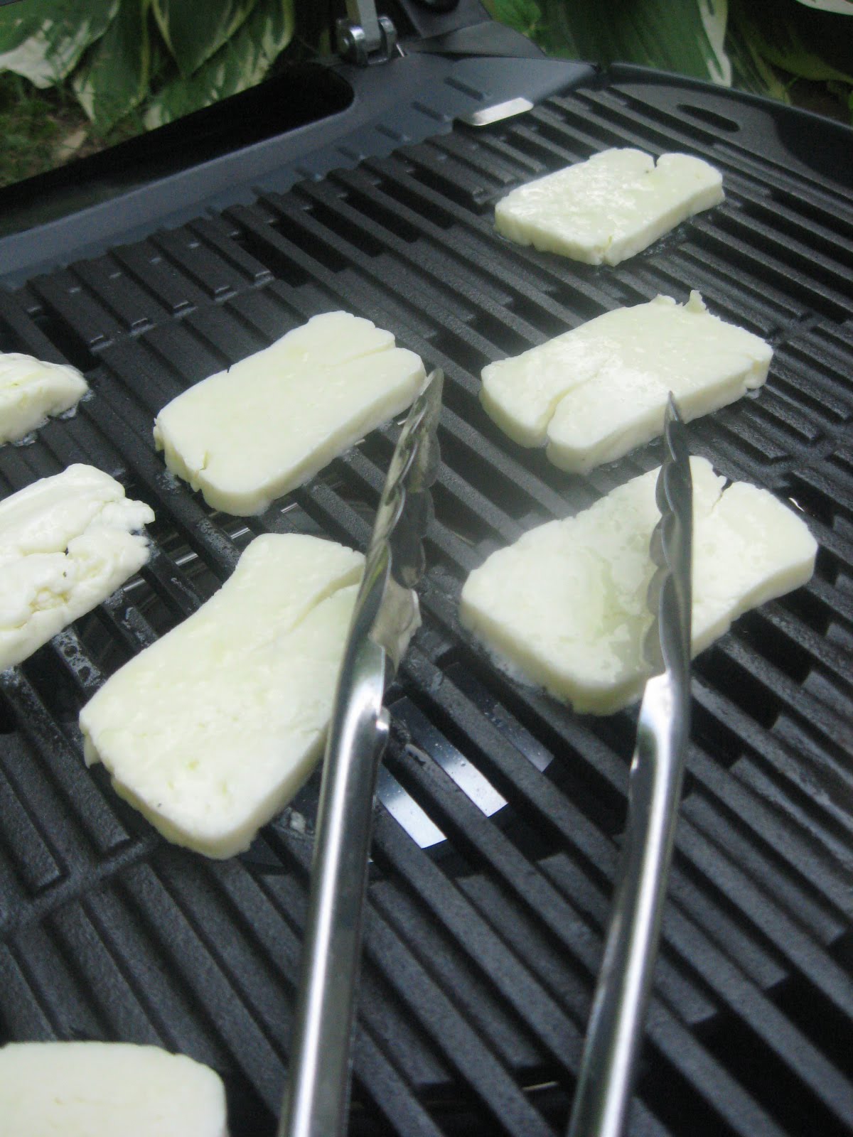 Barbecue Master: O Grill - Portable Gas Grill review