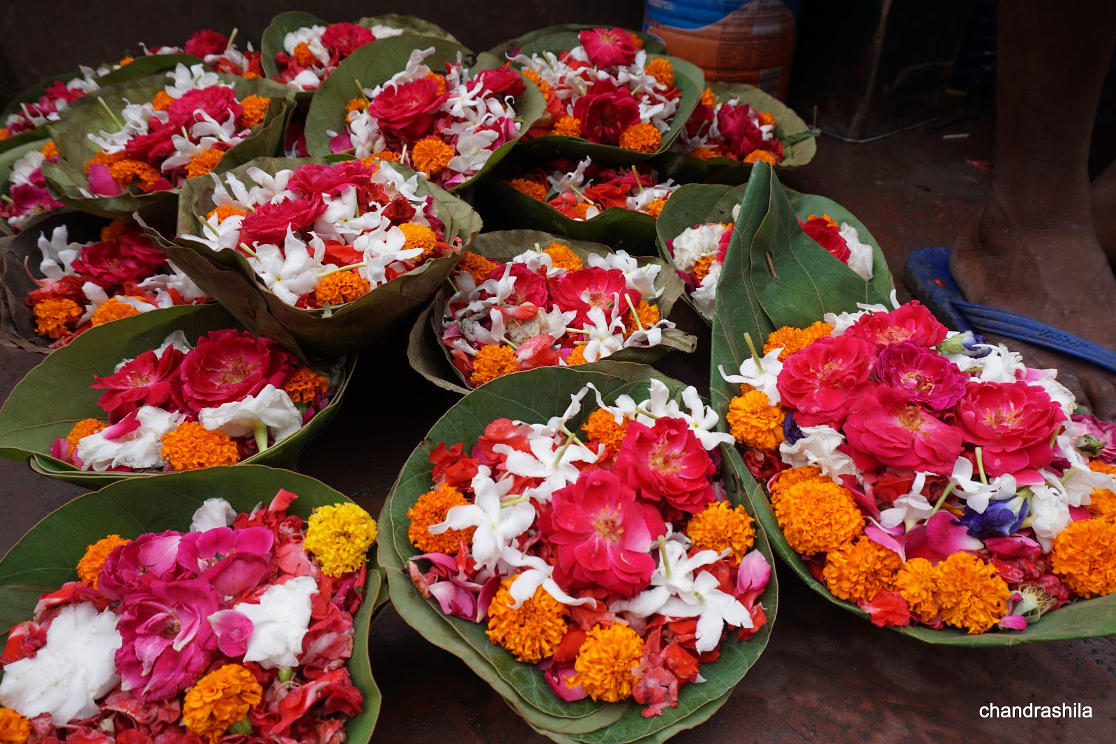 Captured thoughts....