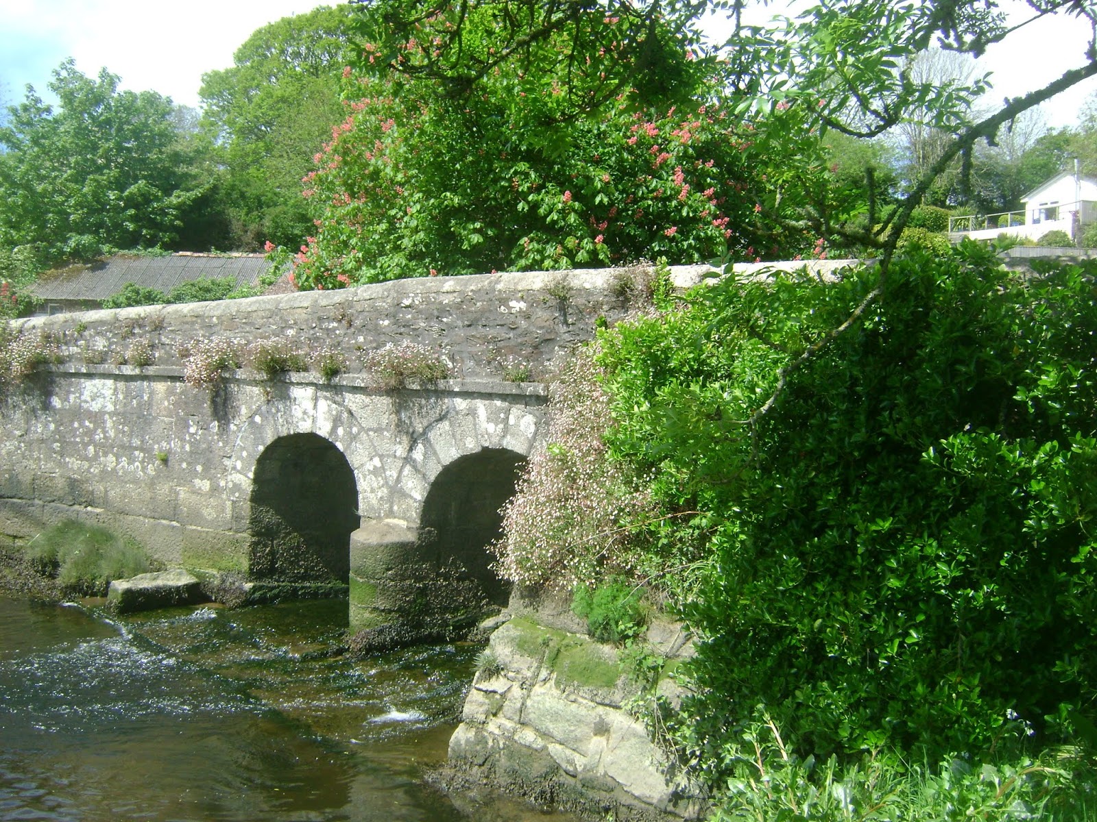 Ann E Brockbank Novelist