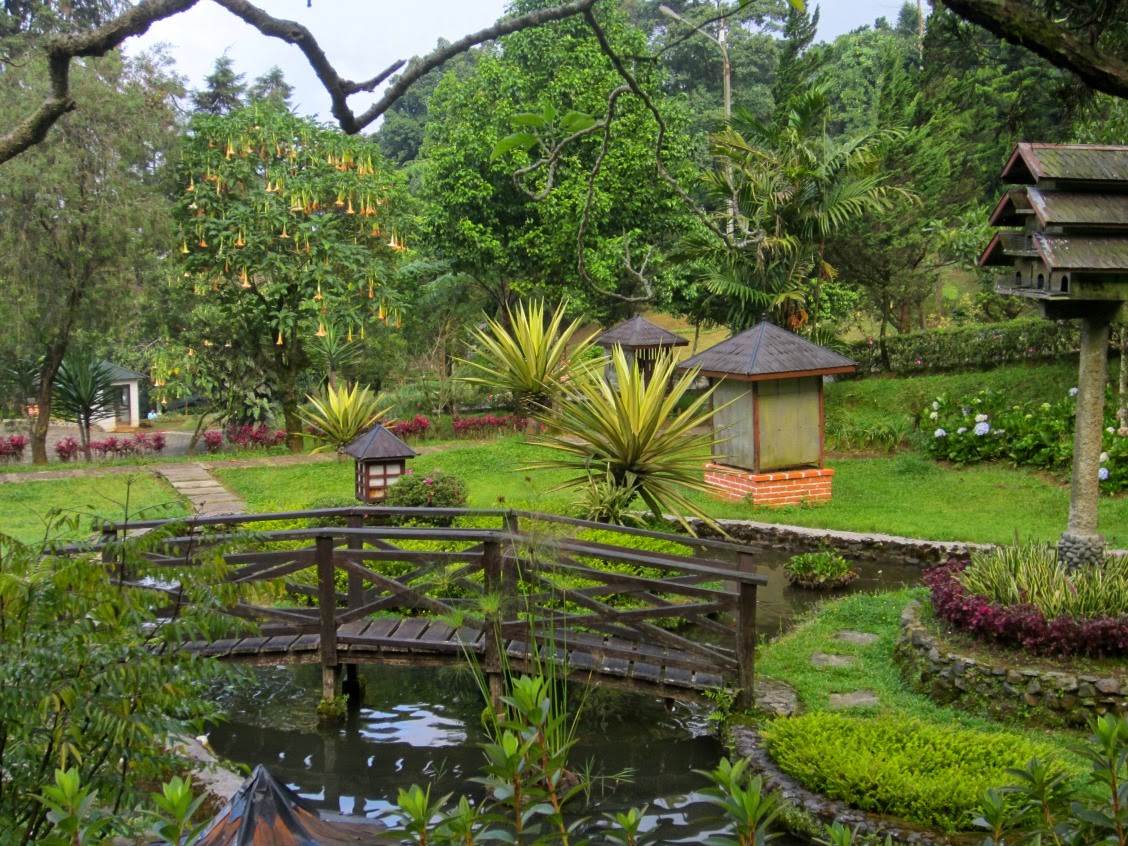 Places : Puncak Pass Resort & Restaurant | Tigerlily's Book