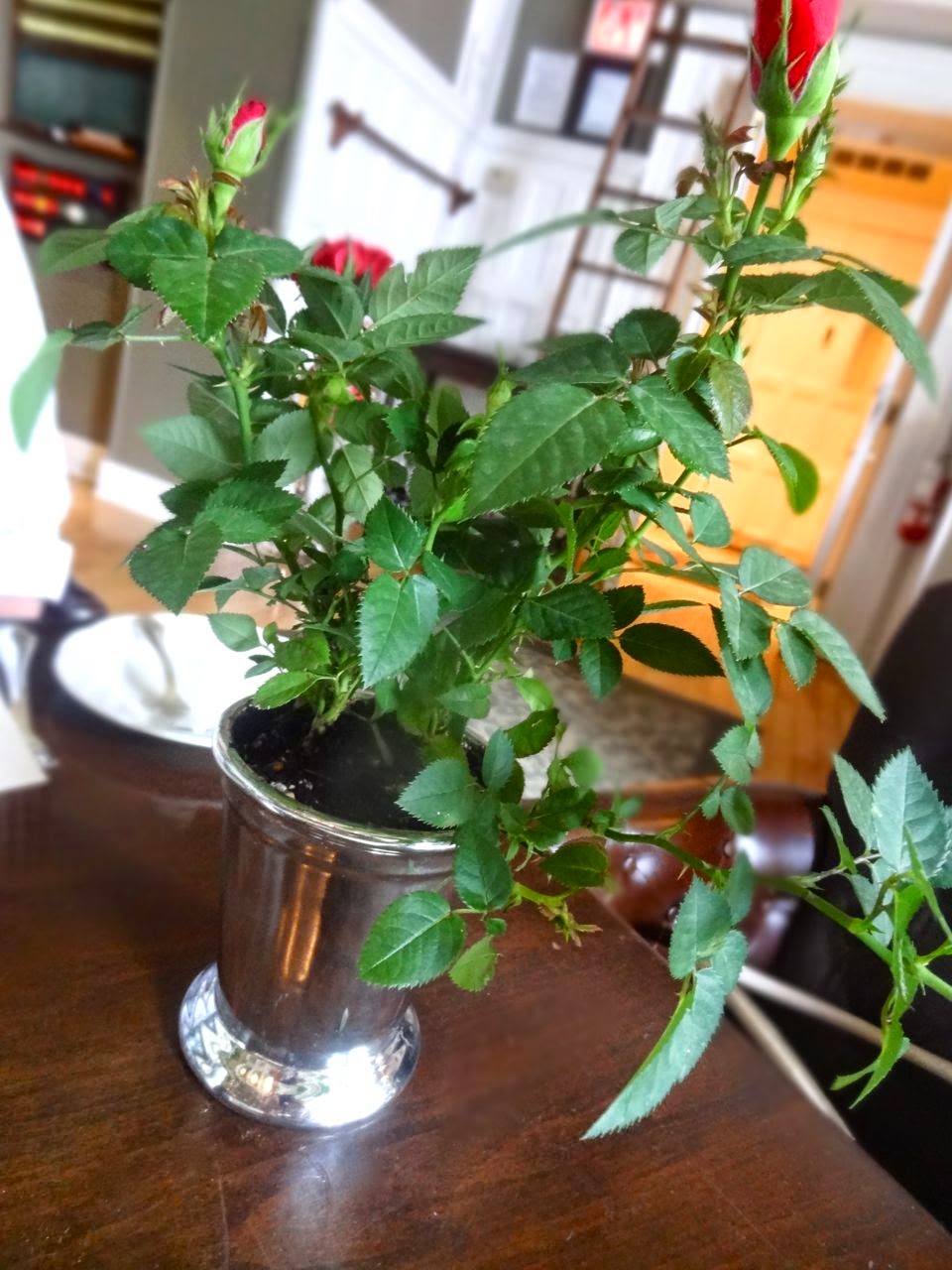 Scrumpdillyicious: Wilk's Bar at Langdon Hall: Simply Sensational