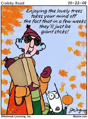 dnsyl57: Maxine on Autumn