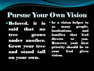 Dare to Succeed: Pursue Your Own Vision