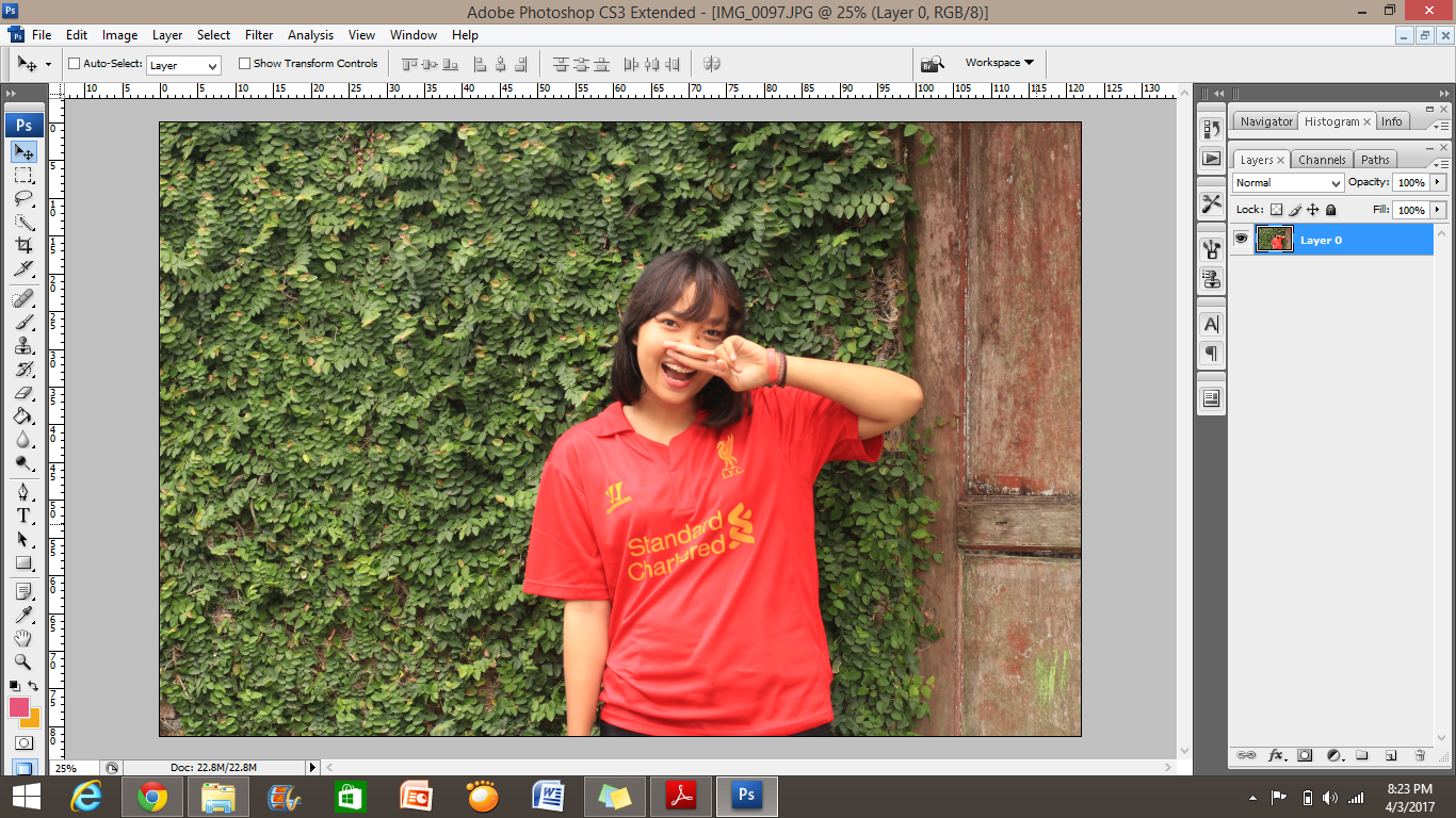 Tutorial Membuat Efek Kartun dengan Filter Menggunakan Aplikasi ...