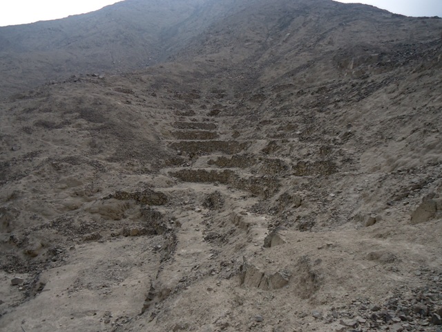 Historia en Fotos - Perú: Molle 3