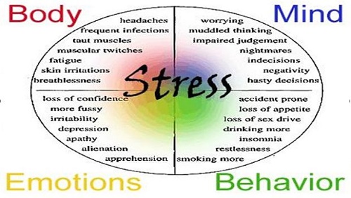 Stress - How Perceived Stress Vs Actual Stress Affects Your Health