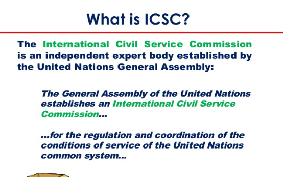 NATIONAL AND INTERNATIONAL CIVIL SERVICE - United Nation Organisation