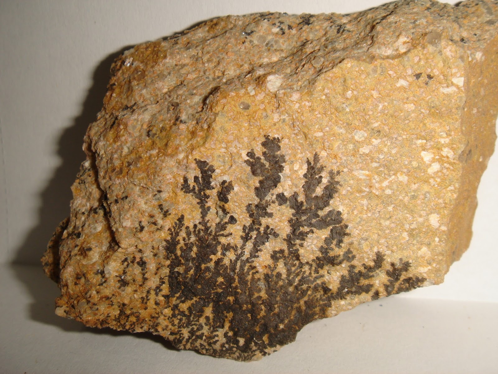 MineralesDB: Excursión y minerales de la mina Regia, Bellmunt, Tarragona