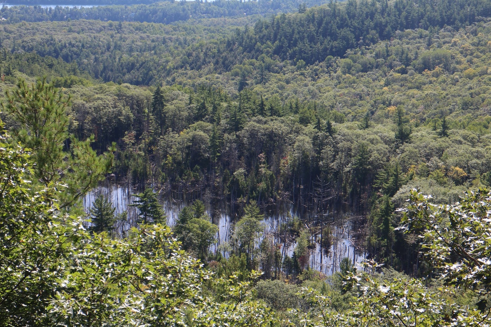 Chez Mark et Marcel: Connaissez-vous Maniwaki