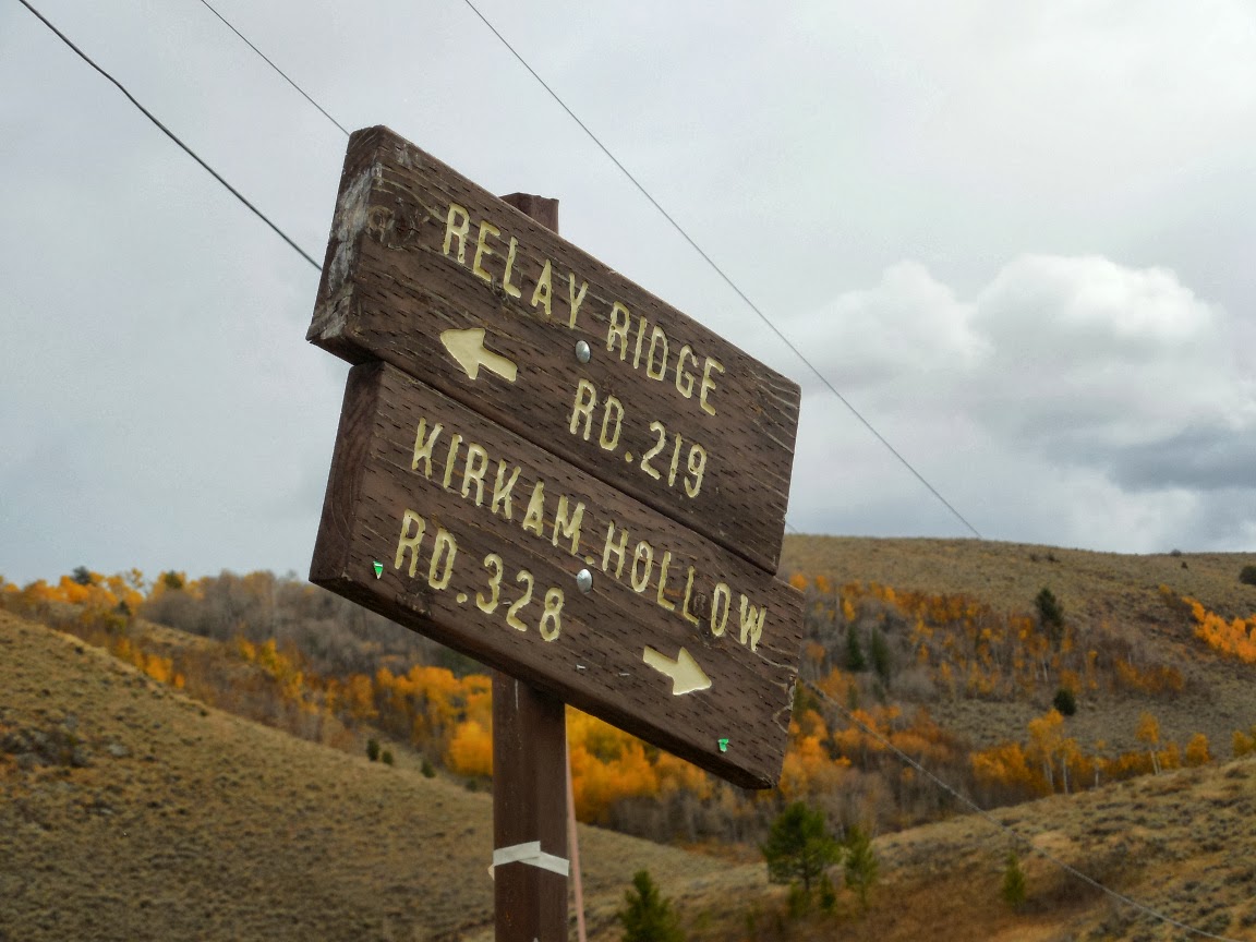 The Daily News: Relay Ridge