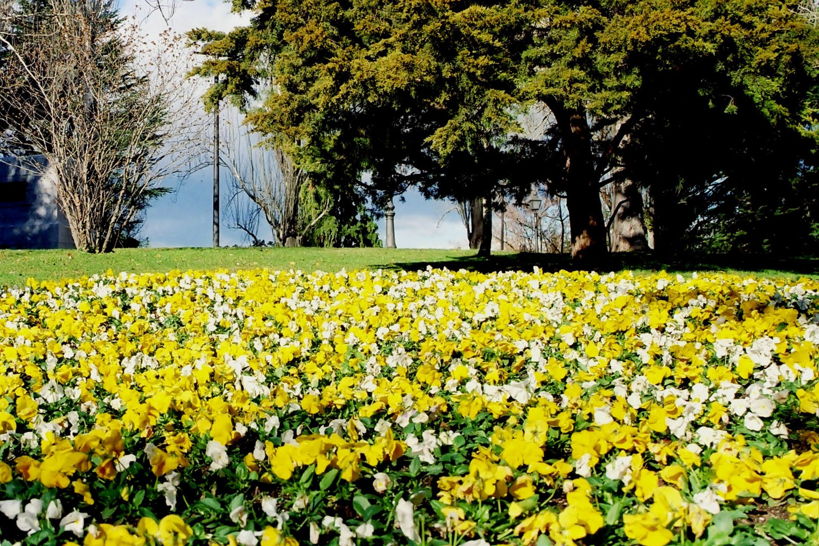 LAS ESTACIONES DEL AÑO