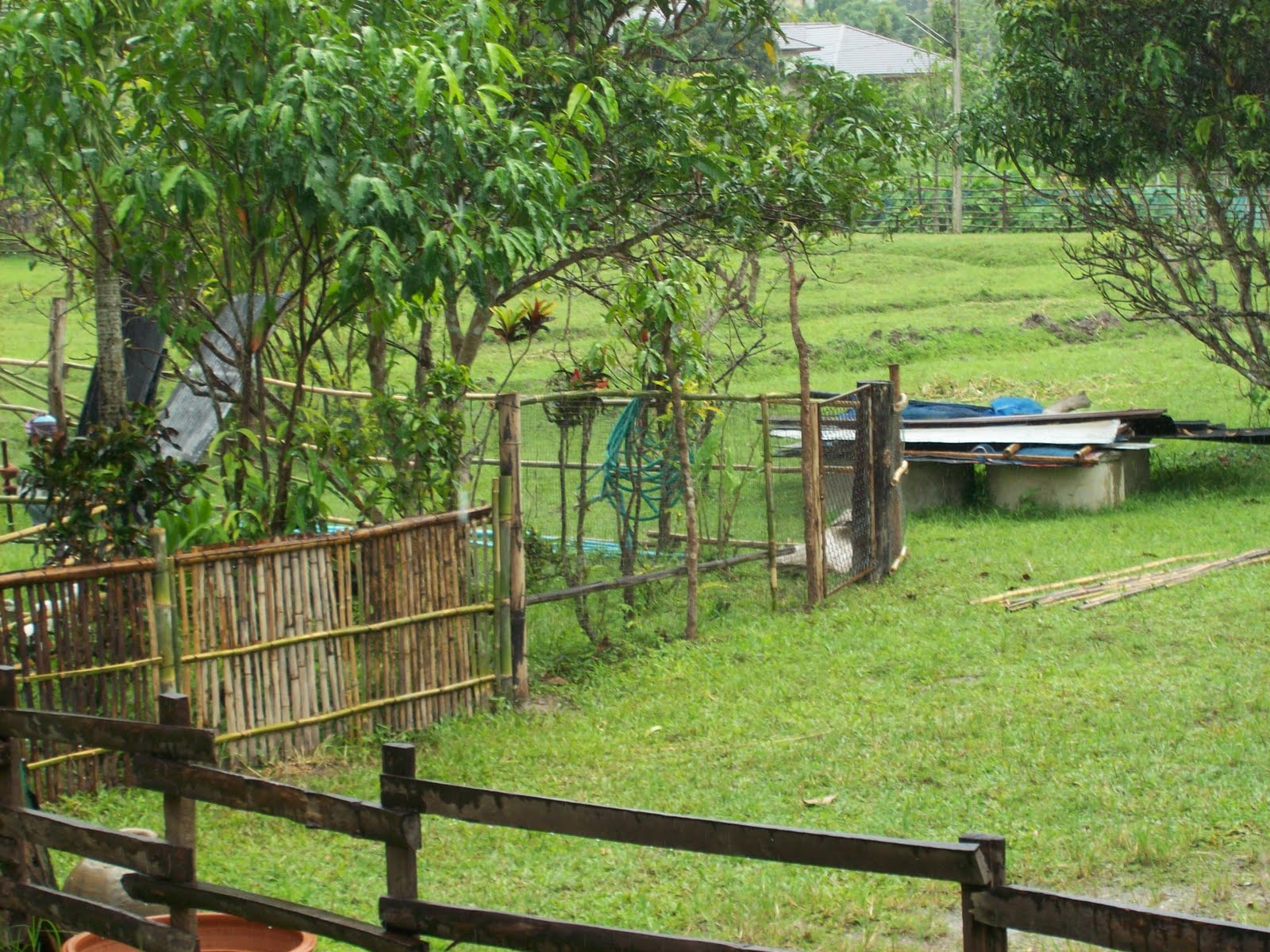 One Voice for Animals: Moving Sanctuary- 50 animals need new homes built.