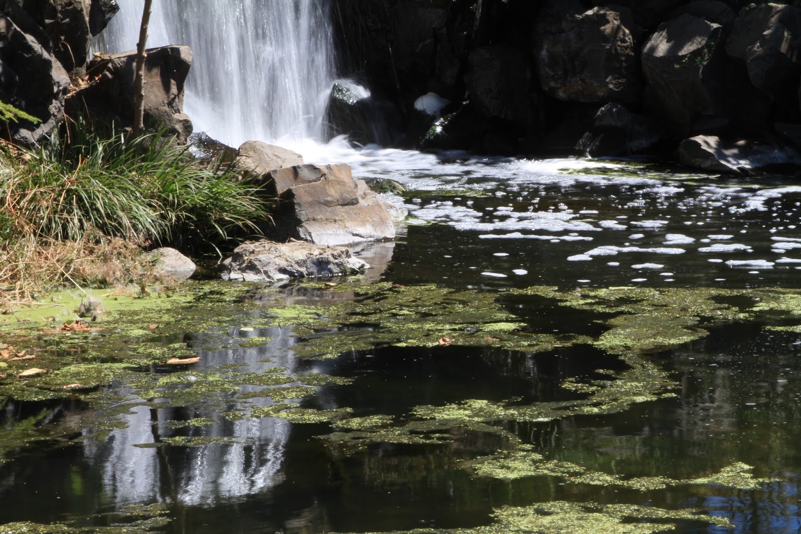 Mid Valley Blogger: Talking Waters Garden Revisited