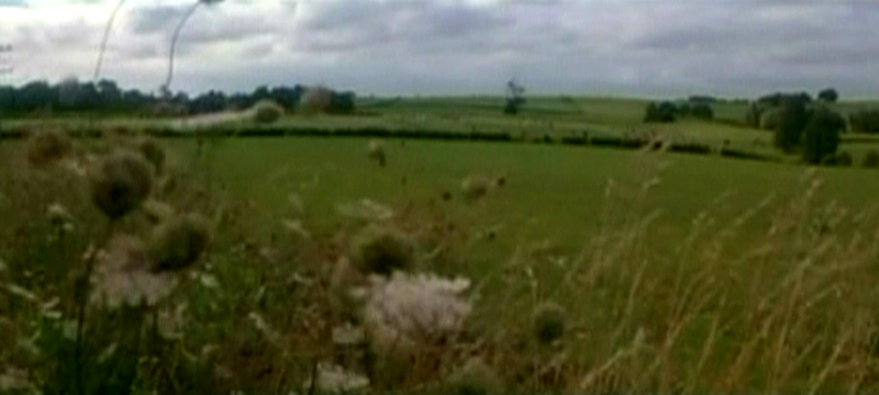 13: STRANGE BEHAVIOR (1981) Dead Kids Say the Darndest Things!