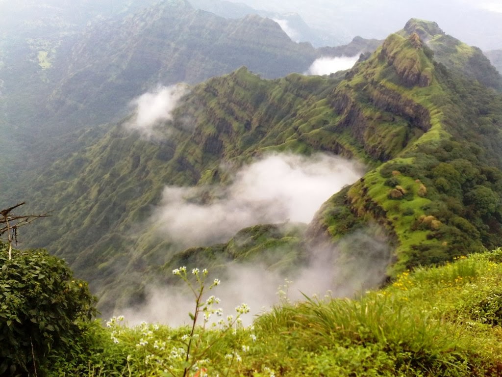 Mahabaleshwar Tour: January 2014