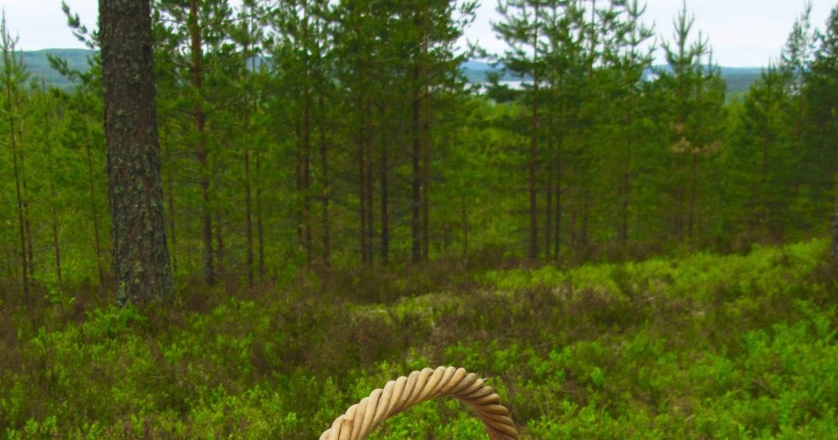 TASTE OF MY FINLAND: "FOREST VISIT"