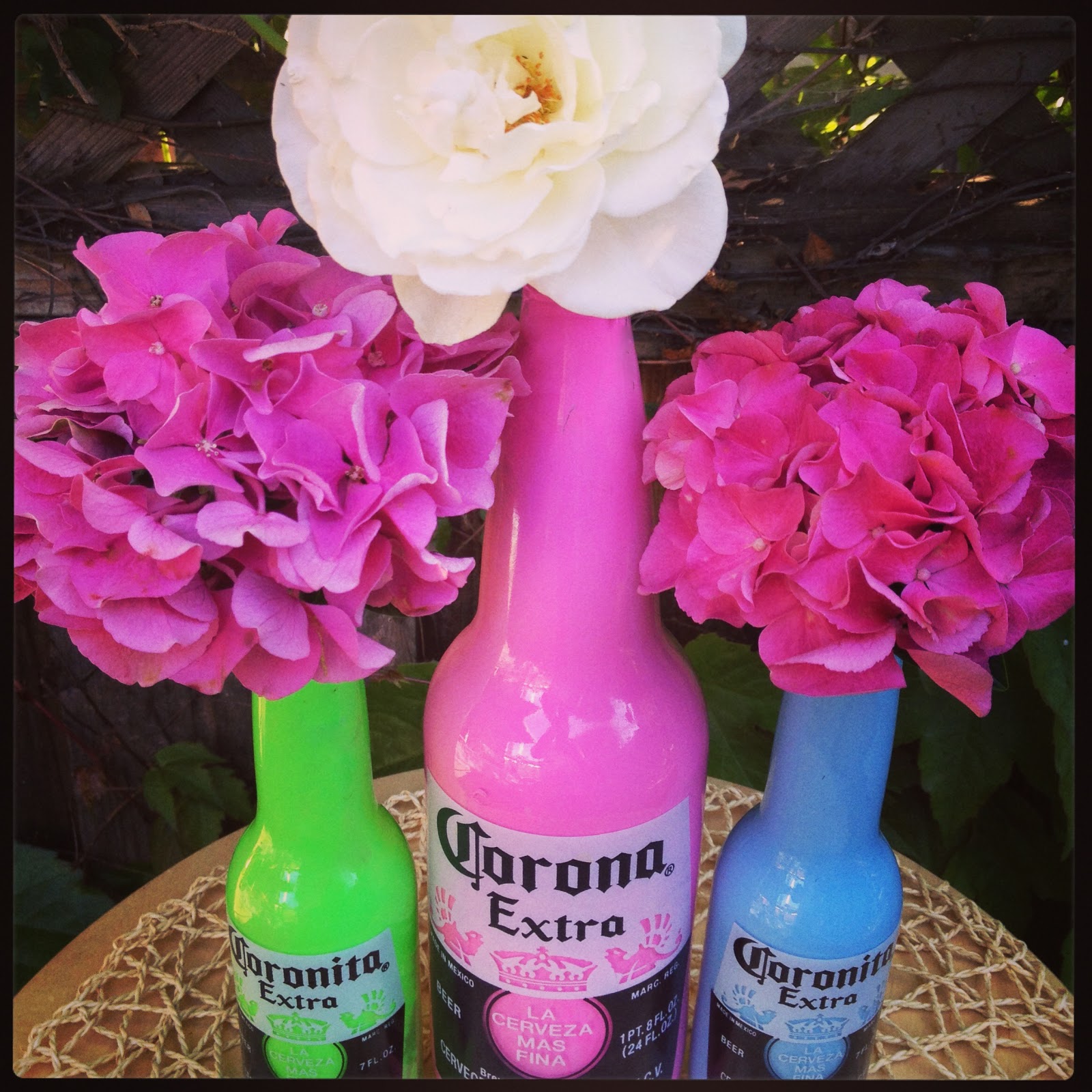 Jac o' lyn Murphy: I need a Cerveza!...Cinco de Mayo Centerpiece
