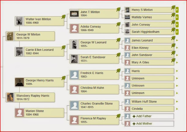 Southern Branches: Minton family in Florida & DC
