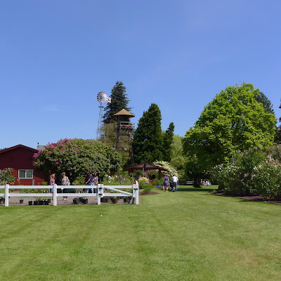 Good Life Northwest: A PHOTO TOUR OF THE HULDA KLAGER LILAC GARDENS