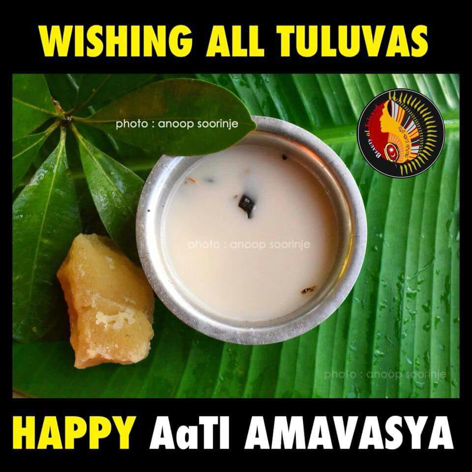 Peek-a-boo to the two months of Tulunad - Aati and Sona! - The Curious Cat