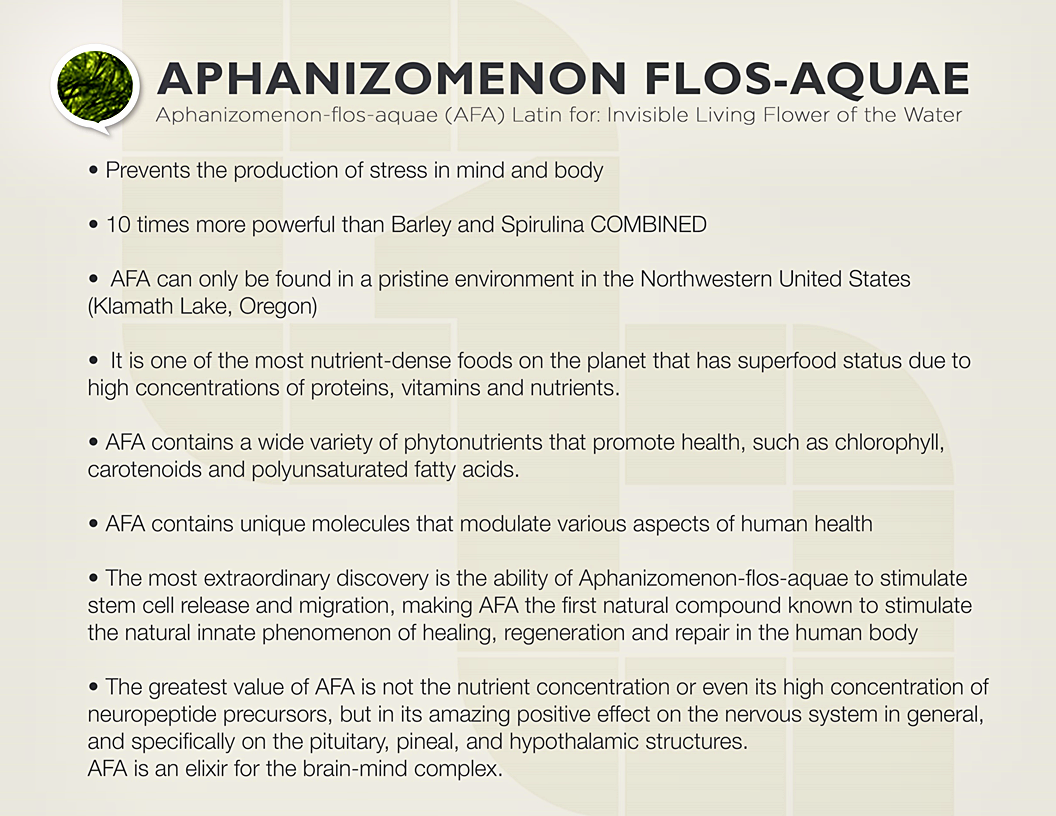 Infinity Supreme Alliance Philippines Inc.: What's AFA?