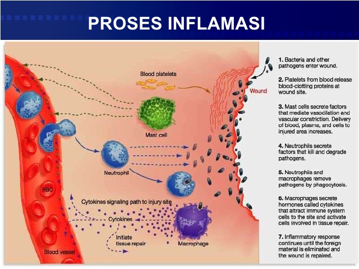 Biology: Februari 2018