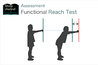 Study channel: 評価