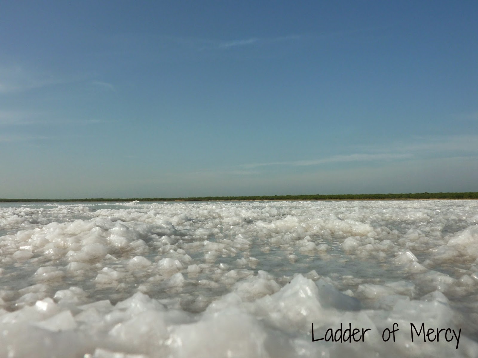 Ladder of Mercy: Salt of the Earth