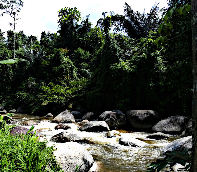 SEMPENEH RIVER FRONT: Sempeneh River Front.