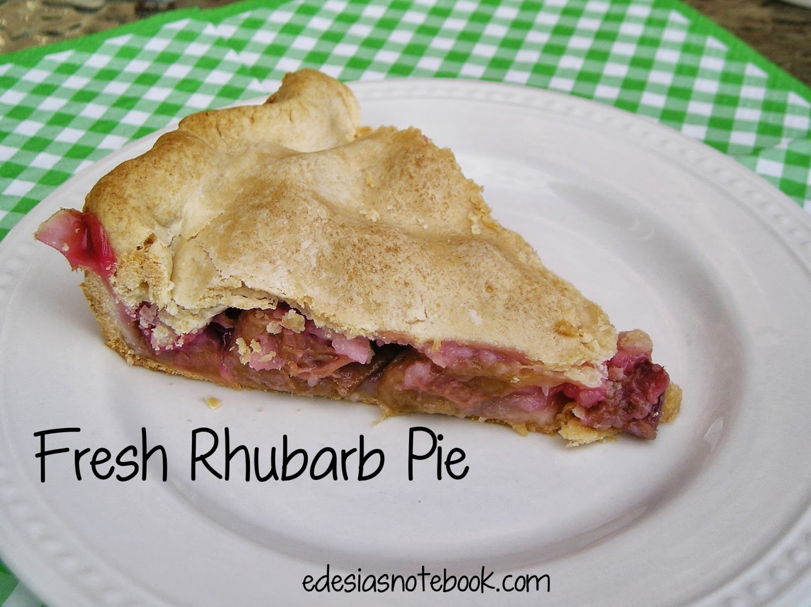 Fresh Rhubarb Pie ~ Edesia's Notebook