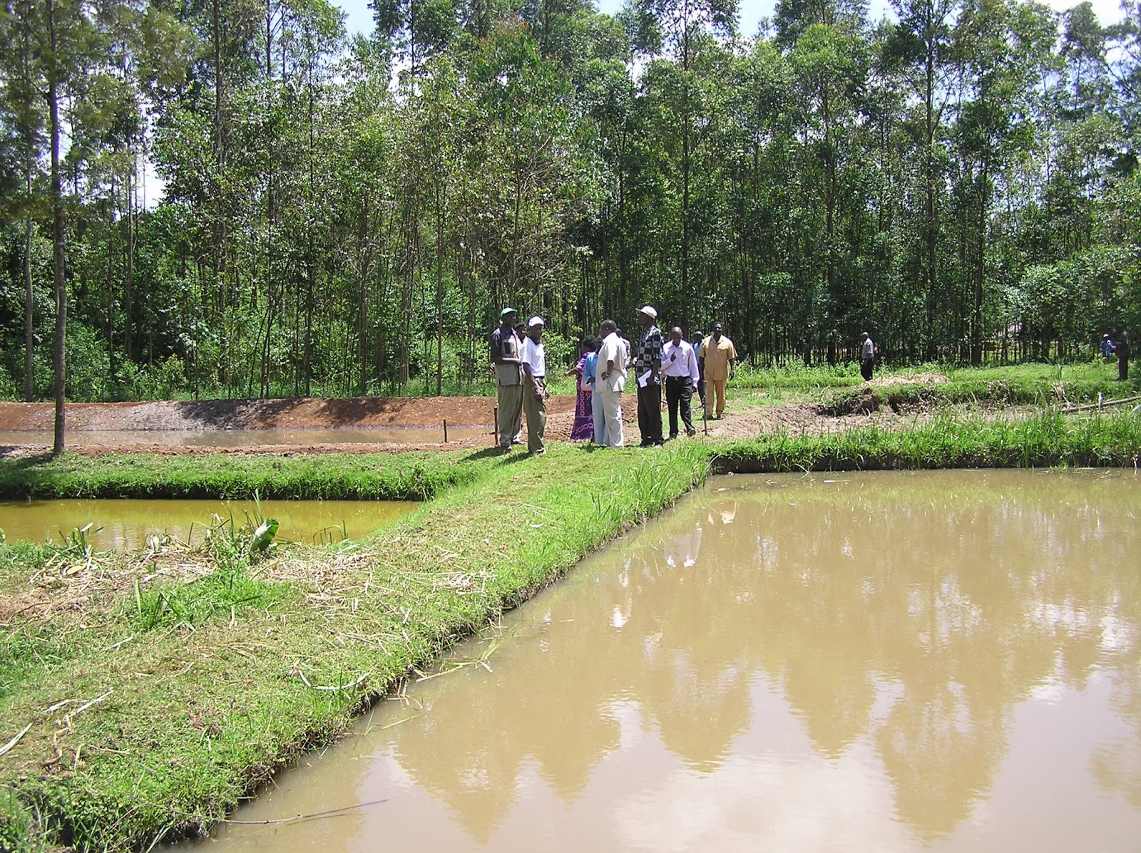 Mmanda Aqua- Farming blog: How is the aquaculture development situation ...