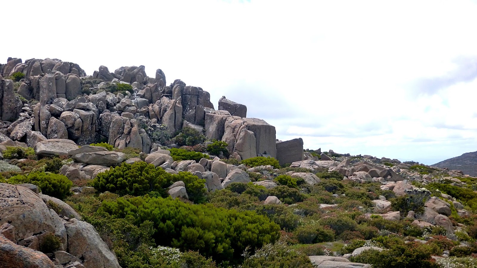 Ramblings: Thark Ridge 2017