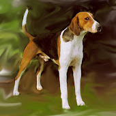 FOXHOUND