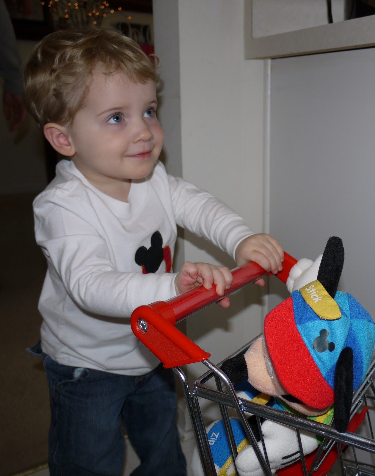 Sevin Family Stories: Oh Twoodles!