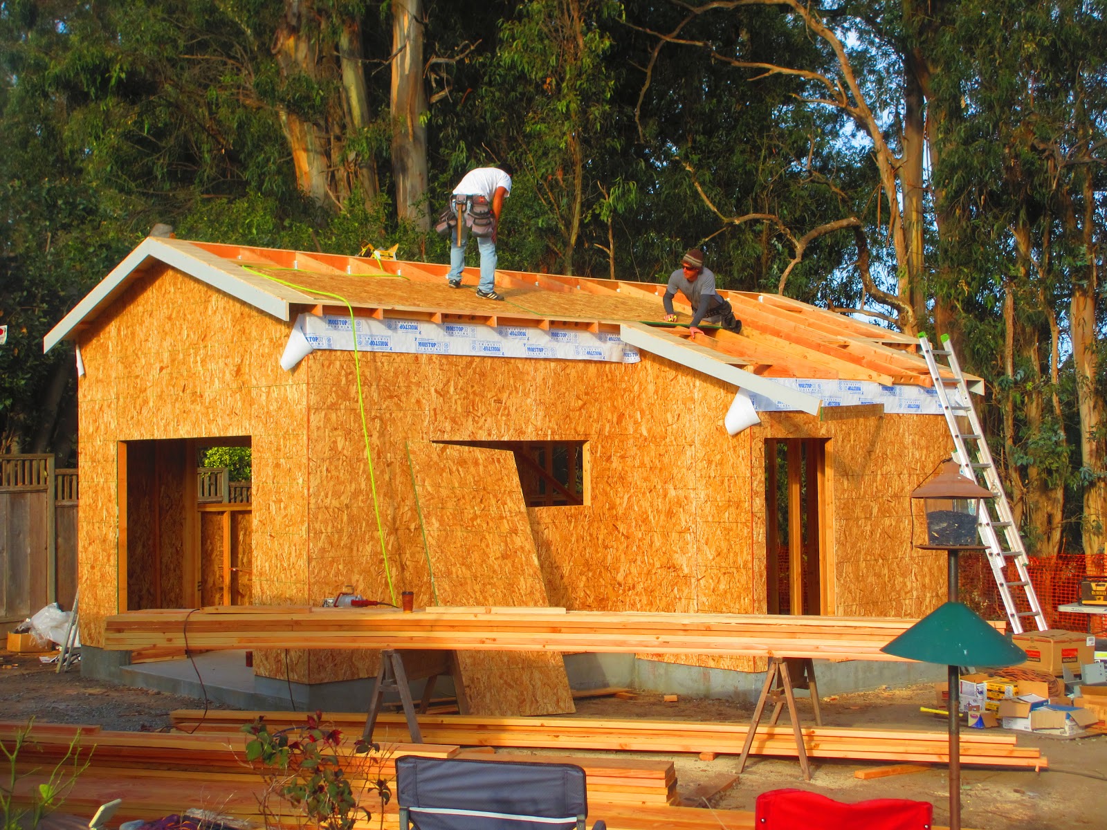 To Build a Home, Sweet Home: Roofs and Beams