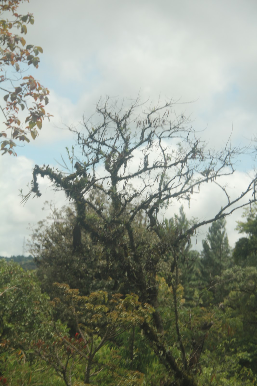 Mud & Beauty of Datu Salumay, Marilog, Davao City