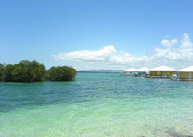 DISCOVER NEGROS OCCIDENTAL