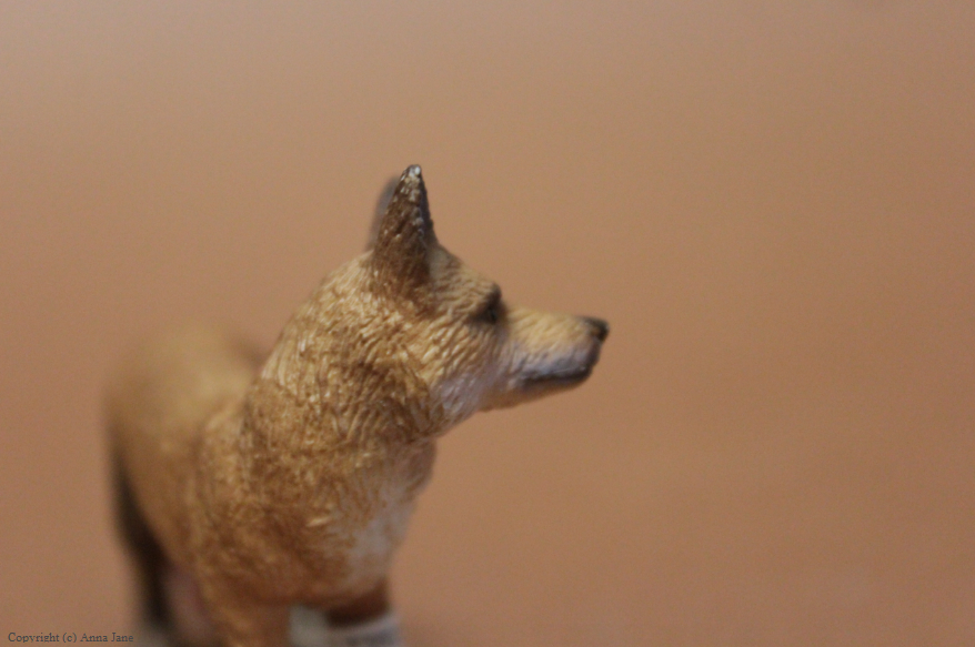 Ir(relevant) Profoundities: Schleich Red Fox - A Walk Around