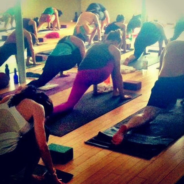 Robin's Zodiac Zone Weekly Astrology: January 2017