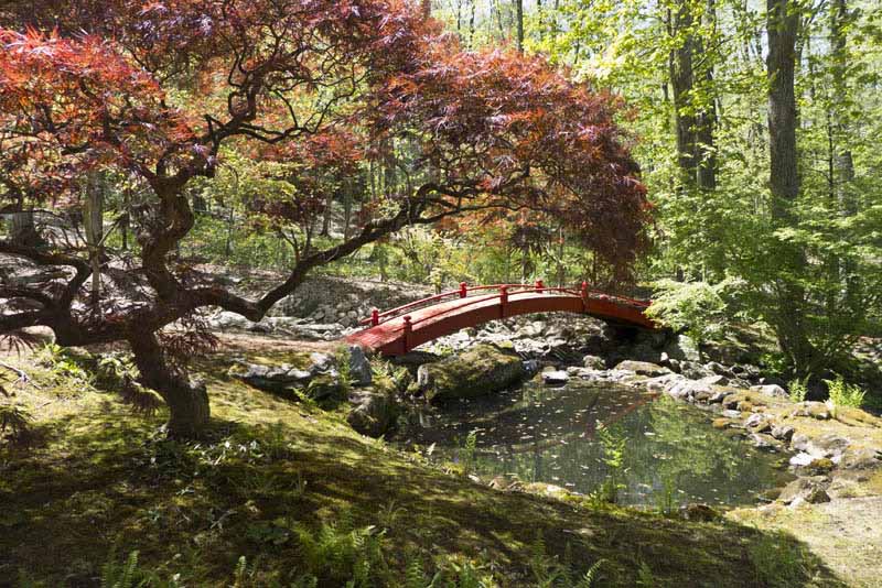 Randscapes: Photography