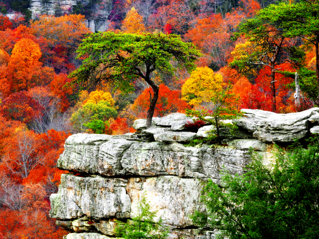 30 Wallpaper Musim Gugur (Autumn) Warna Warni Keren dan Cantik Terbaru ...