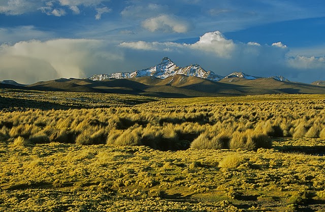 International Reads: Bolivia: "Andean Express" by Juan de Recacoechea