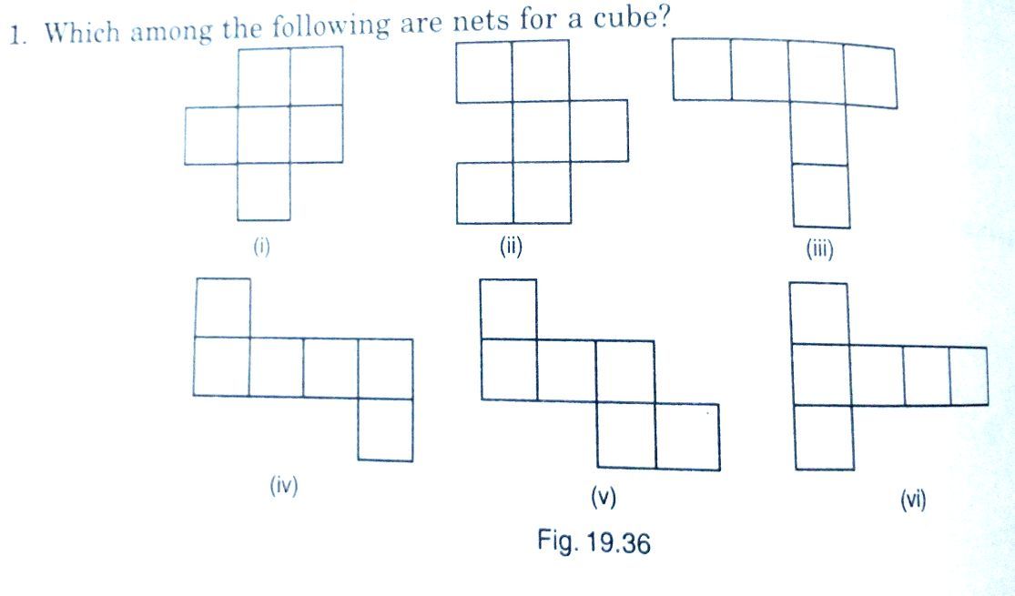 CBSE-MATH: 8th Visualising solid shapes- RD