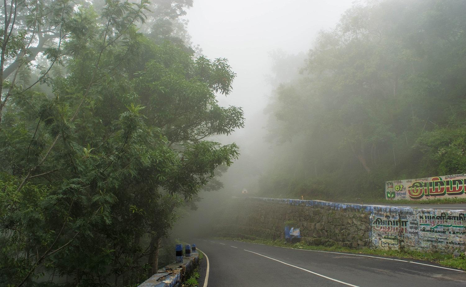 Tamilnadu Tourism: 32-Km Loop Road, Yercaud