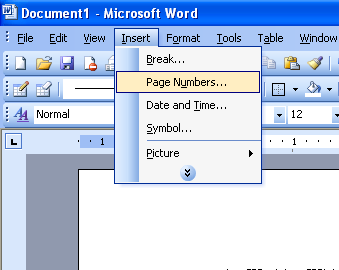 Change The Page Number Format ~ Microsoft Office Support