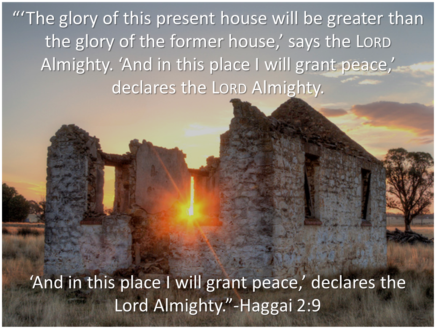 HOW IN THE WORLD!!: Out of the Ruins REnewal: The Book of Haggai for ...