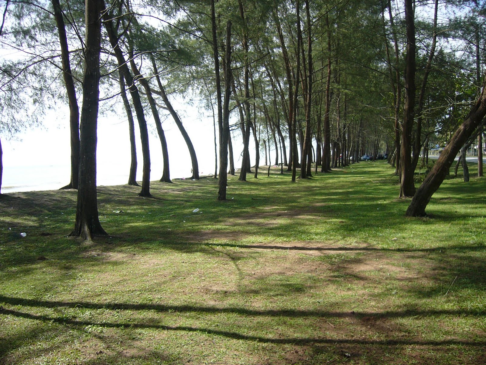 PANTAI SEPAT KUANTAN: 2017