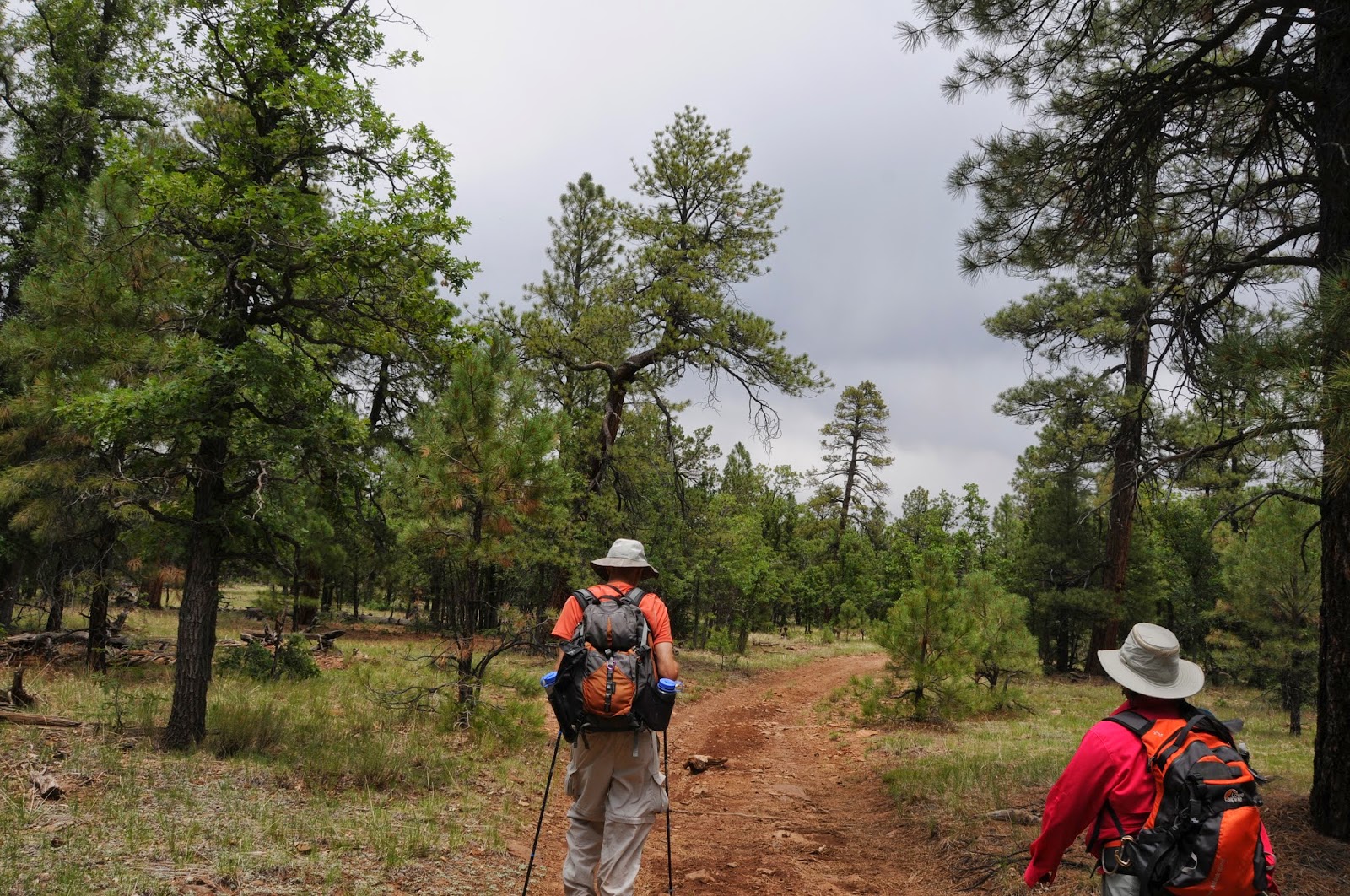 Arizona Hiking: PINE SPRING TRAILHEAD